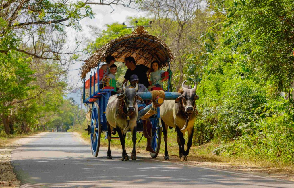 Traditional Village Cooking: An Immersive Culinary Experience - Sri ...